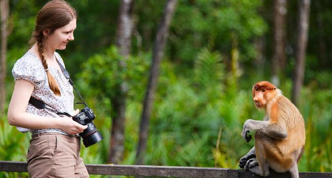 Wildlife Expeditions Day Tours - go Sabah